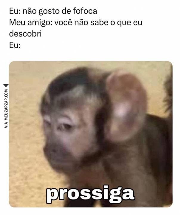 Meu ZapZap - Imagens Não gosto de fofoca - Engraçadas para Whatsapp e ...