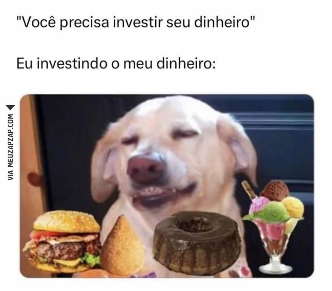 Meu ZapZap - Imagens E nem é meme - Engraçadas para Whatsapp e Facebook