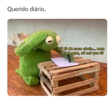 Meu ZapZap - Imagens Escrevendo no meu diário - Engraçadas para ...