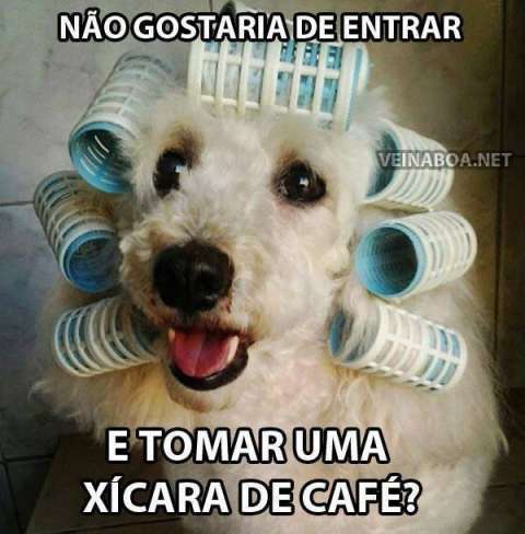 Meu ZapZap - Imagens Café da tarde - Engraçadas para Whatsapp e Facebook