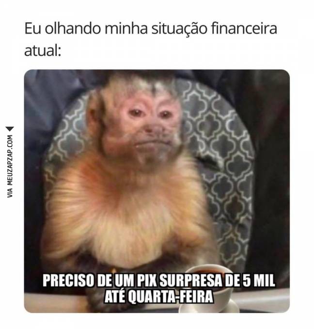 Meu ZapZap - Imagens Preciso de um pix - Engraçadas para Whatsapp e ...