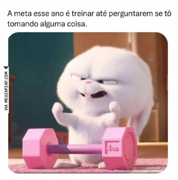 Meu ZapZap - Imagens Minha meta é essa - Engraçadas para Whatsapp e ...