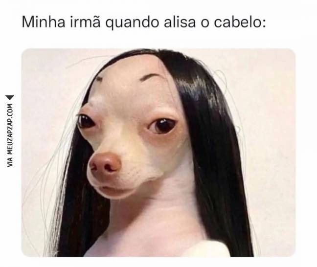 Meu ZapZap - Imagens Minha irmã com cabelo liso - Engraçadas para ...