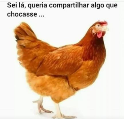 Meu ZapZap - Imagens Chocado - Engraçadas para Whatsapp e Facebook