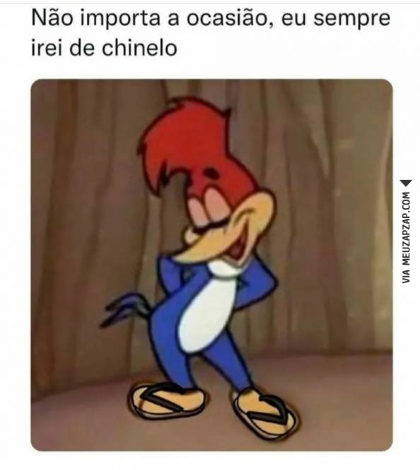 Meu ZapZap - Imagens Eu sempre irei de chinelo - Engraçadas para ...