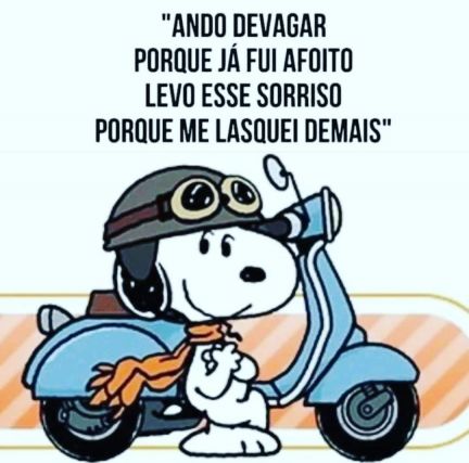 Meu ZapZap - Imagens Ando devagar - Reflexão para Whatsapp e Facebook