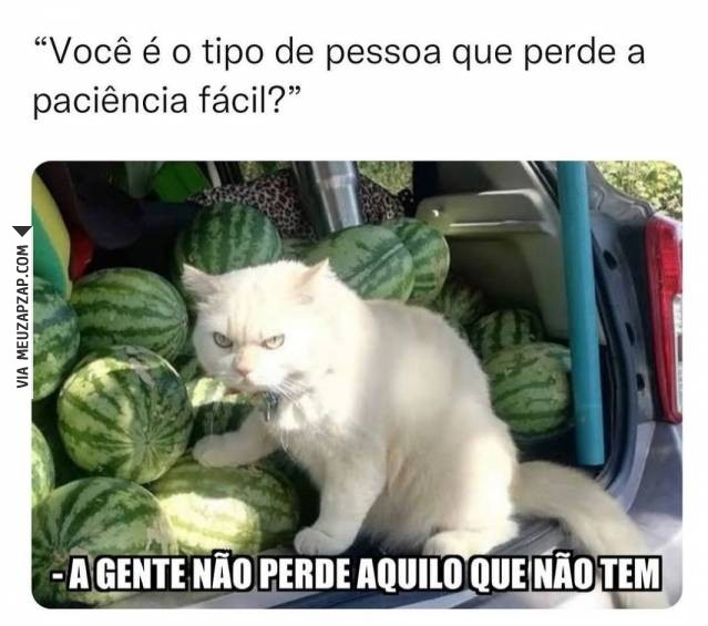 Meu ZapZap - Imagens Sem paciência - Engraçadas para Whatsapp e Facebook